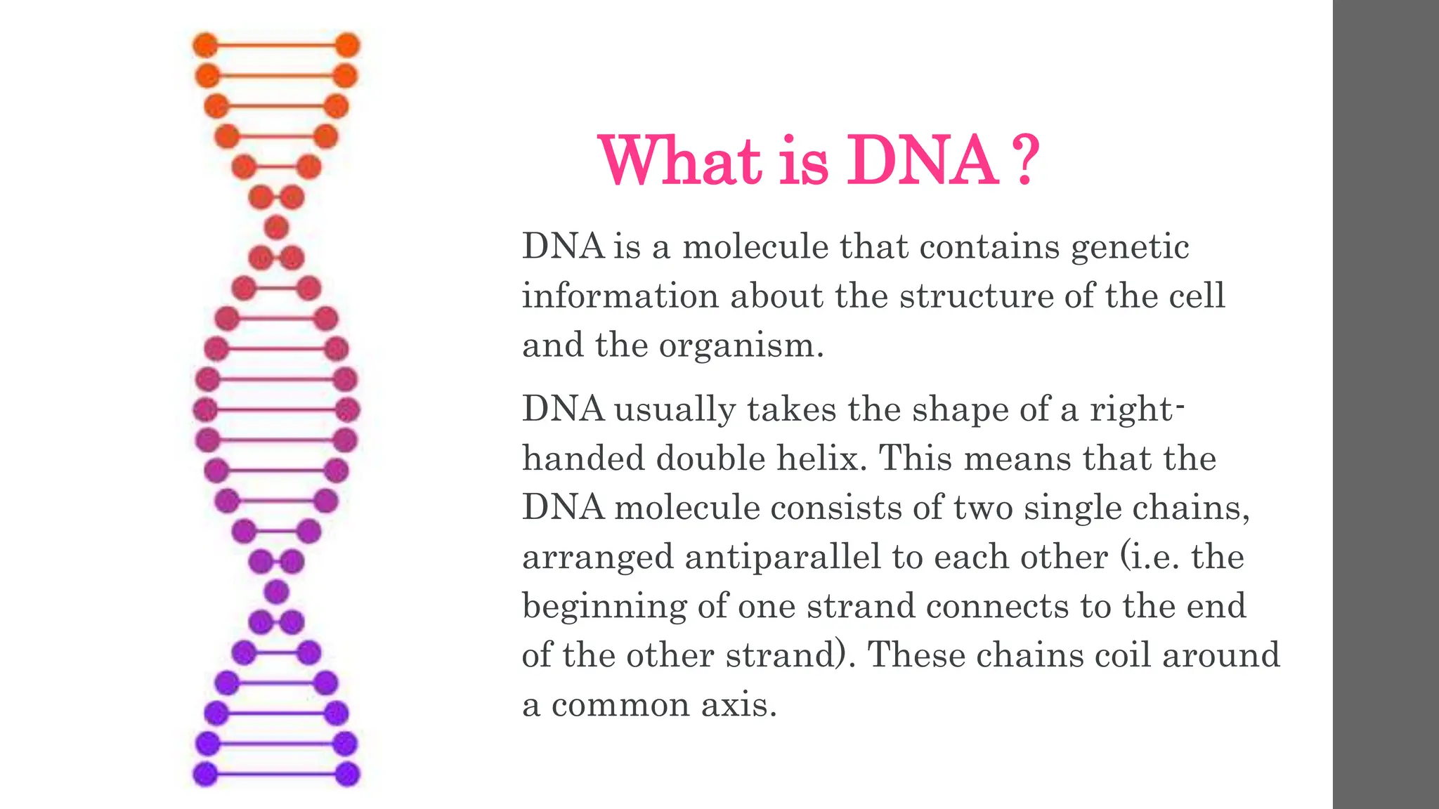 James Watson and Francis Crick - famous scientists | PPTX