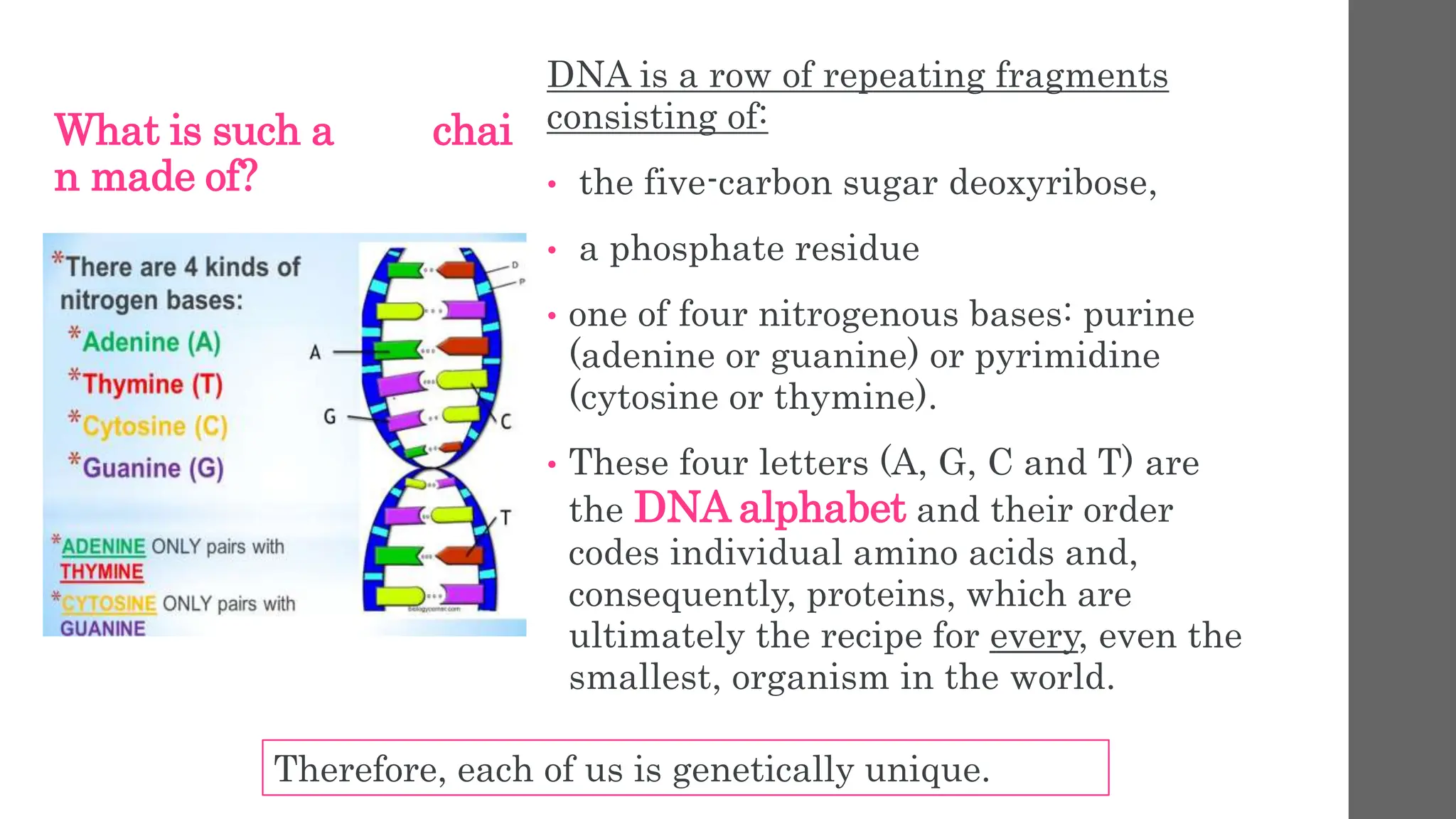 James Watson and Francis Crick - famous scientists | PPTX