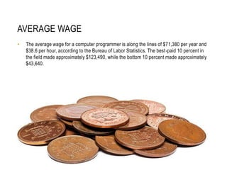 Computer programmer | PPT