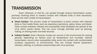 poultry production diseases-AVIAN-INFLUENZA.pptx