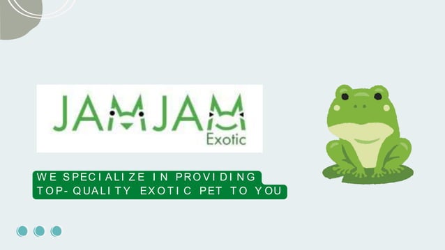 Jam Jam Exotic | PPTX
