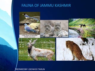 Jammu and kashmir flora and fauna | PPTX
