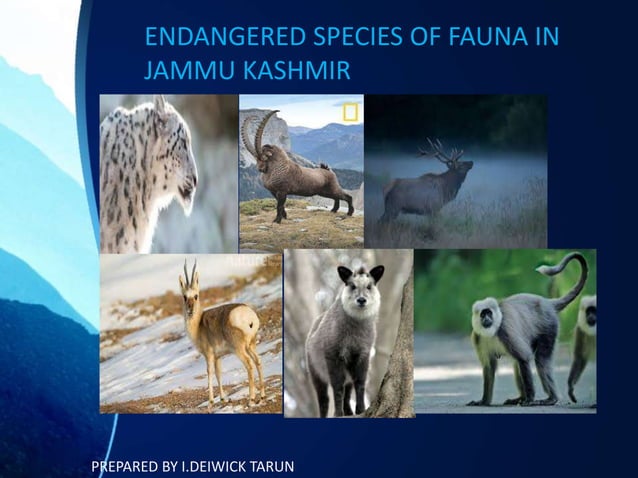 Jammu and kashmir flora and fauna | PPTX