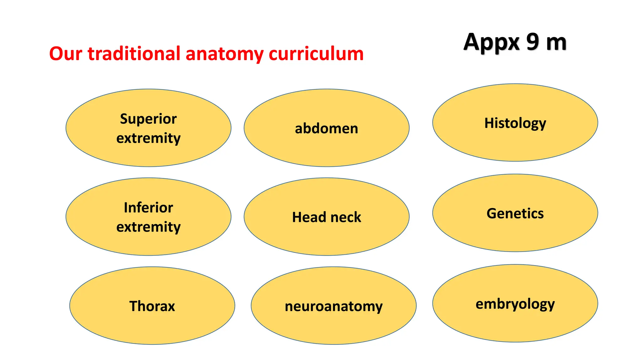 Anatomy curriculum- we & our students | PPTX