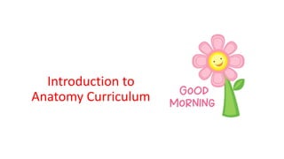 Anatomy curriculum- we & our students | PPT