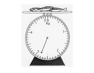 Jam timbang | DOC