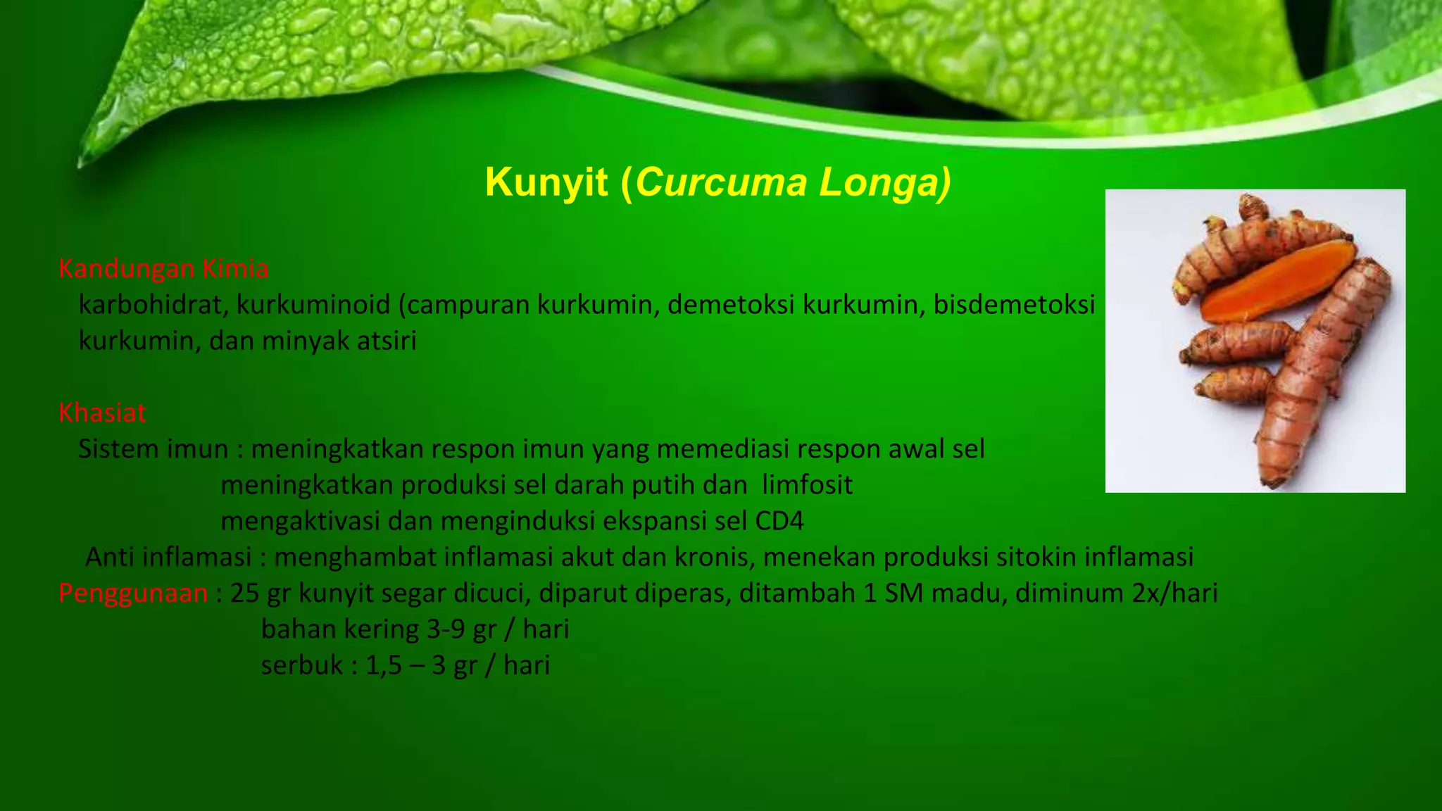 Jamu Imunitas COVID.pptx