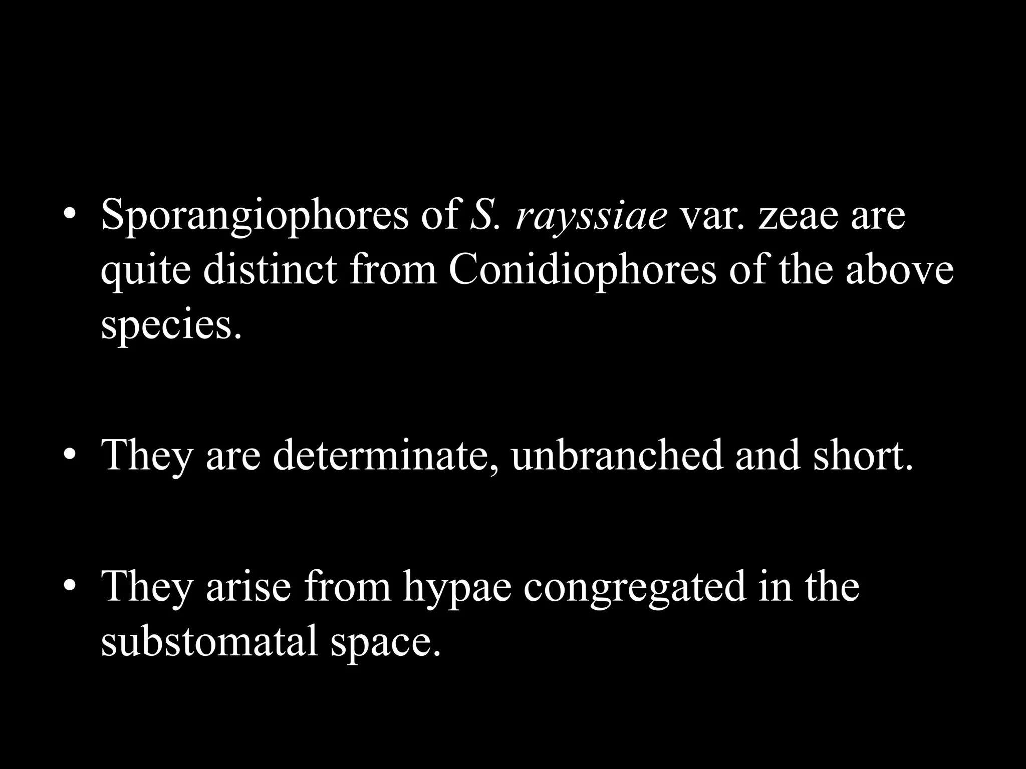 Downy Mildew of Maize | PPTX