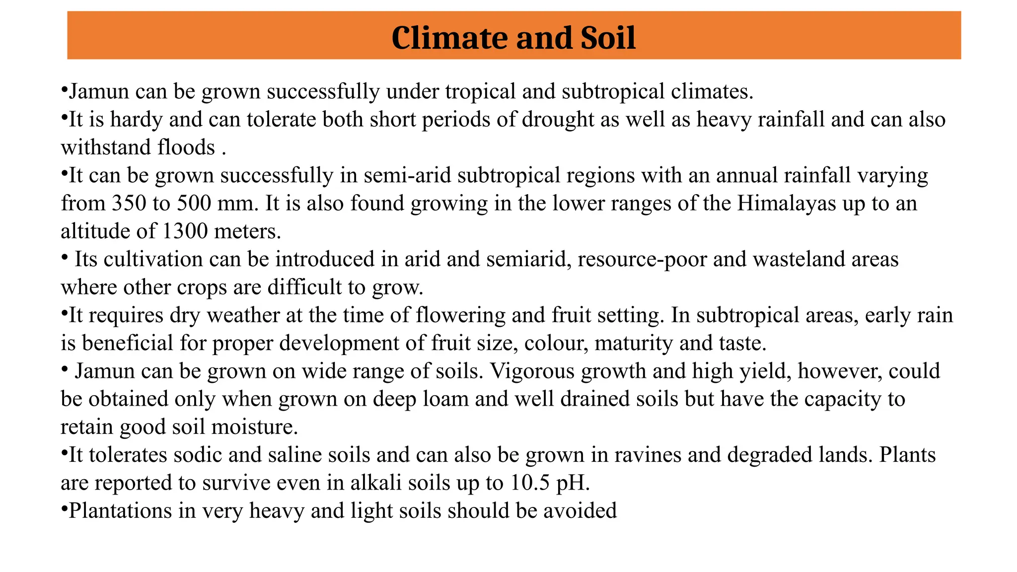 jamun Cultivation in India - Status.pptx