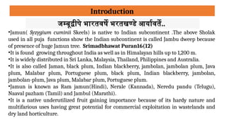 jamun Cultivation in India - Status.pptx