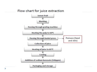 VALUE ADDITON IN JAMUN FRUIT | PPTX