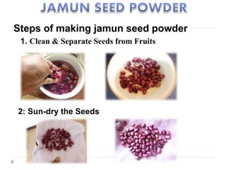 VALUE ADDITON IN JAMUN FRUIT | PPTX