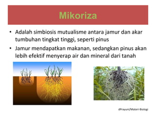 Jamur / Fungi | PPT