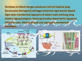 Jamur | PPTX