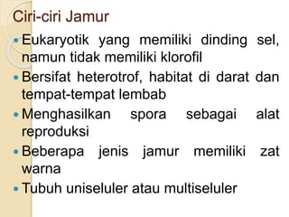 Jamur | PPTX