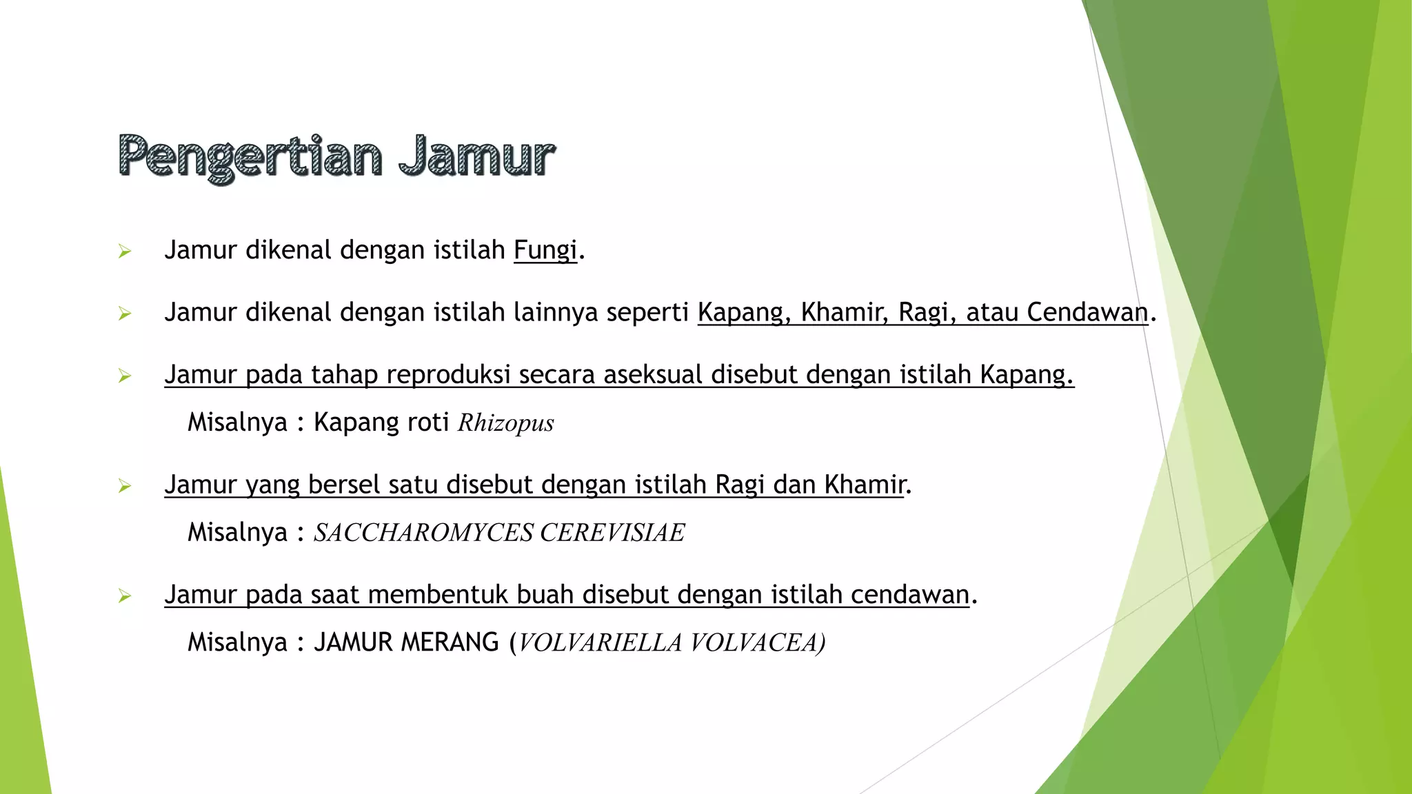 Jamur (fungi) | PPTX