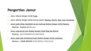 Jamur (fungi) | PPTX
