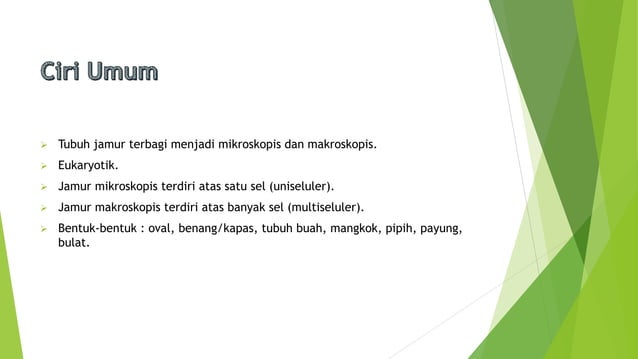 Jamur (fungi) | PPTX