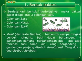 Jamur | PPT