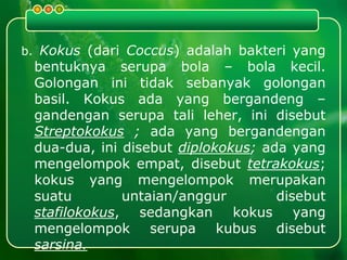 Jamur | PPT