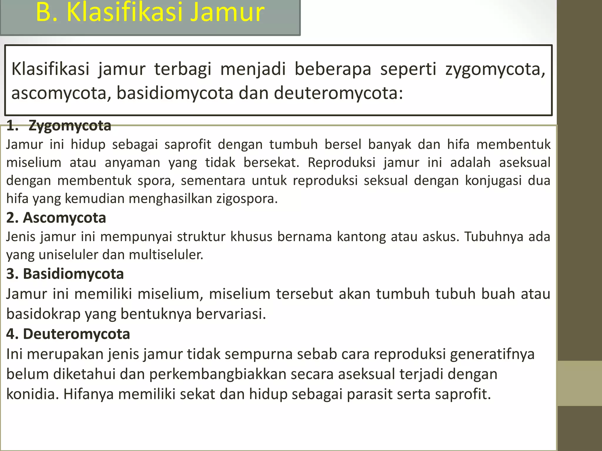 Jamur.pptx