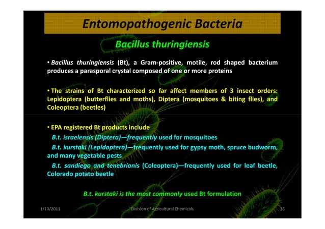 Jamur dan bakteri Entomopatogen ppt | PPT
