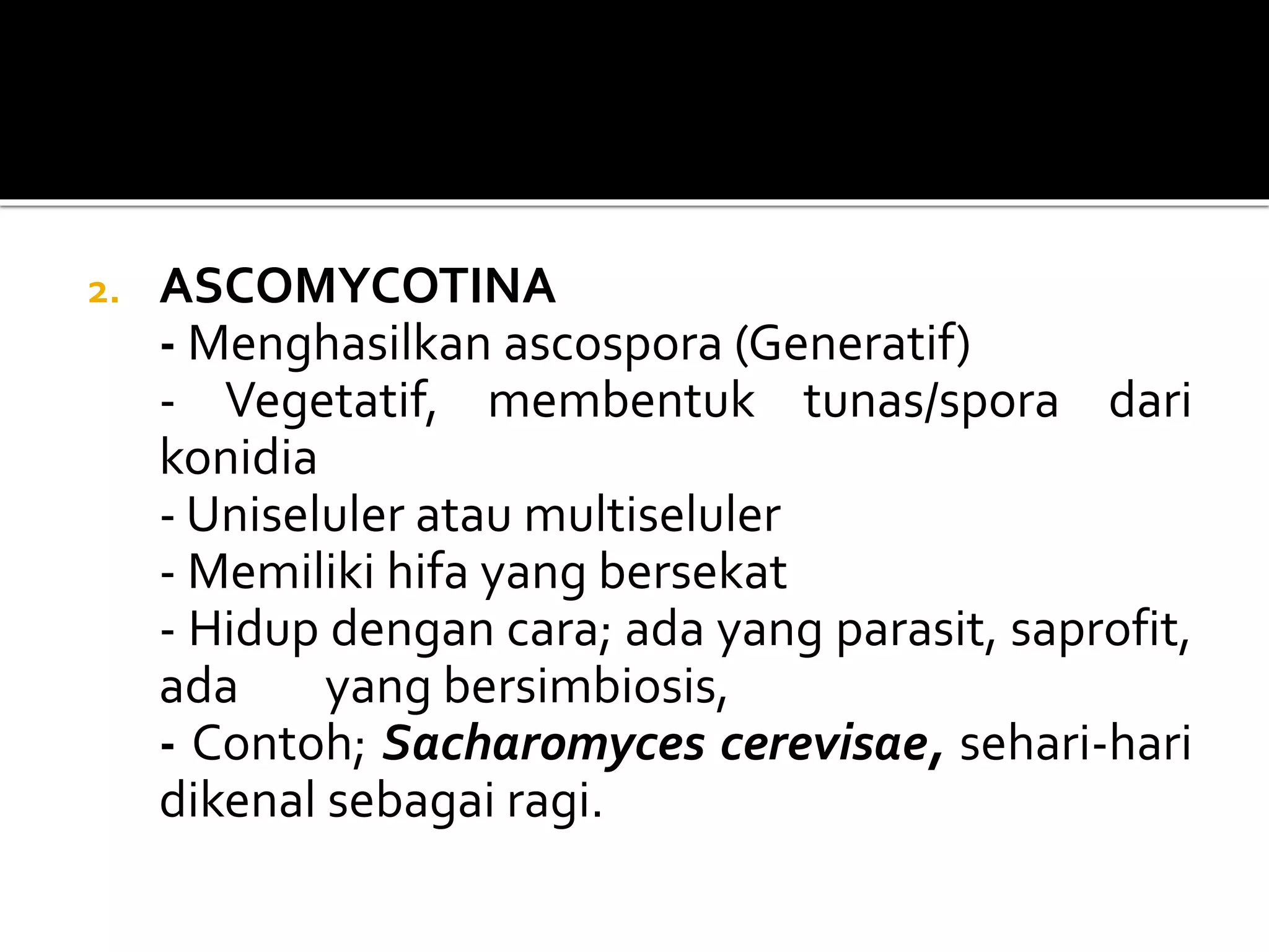 Presentasi Jamur (fungi) | PPTX