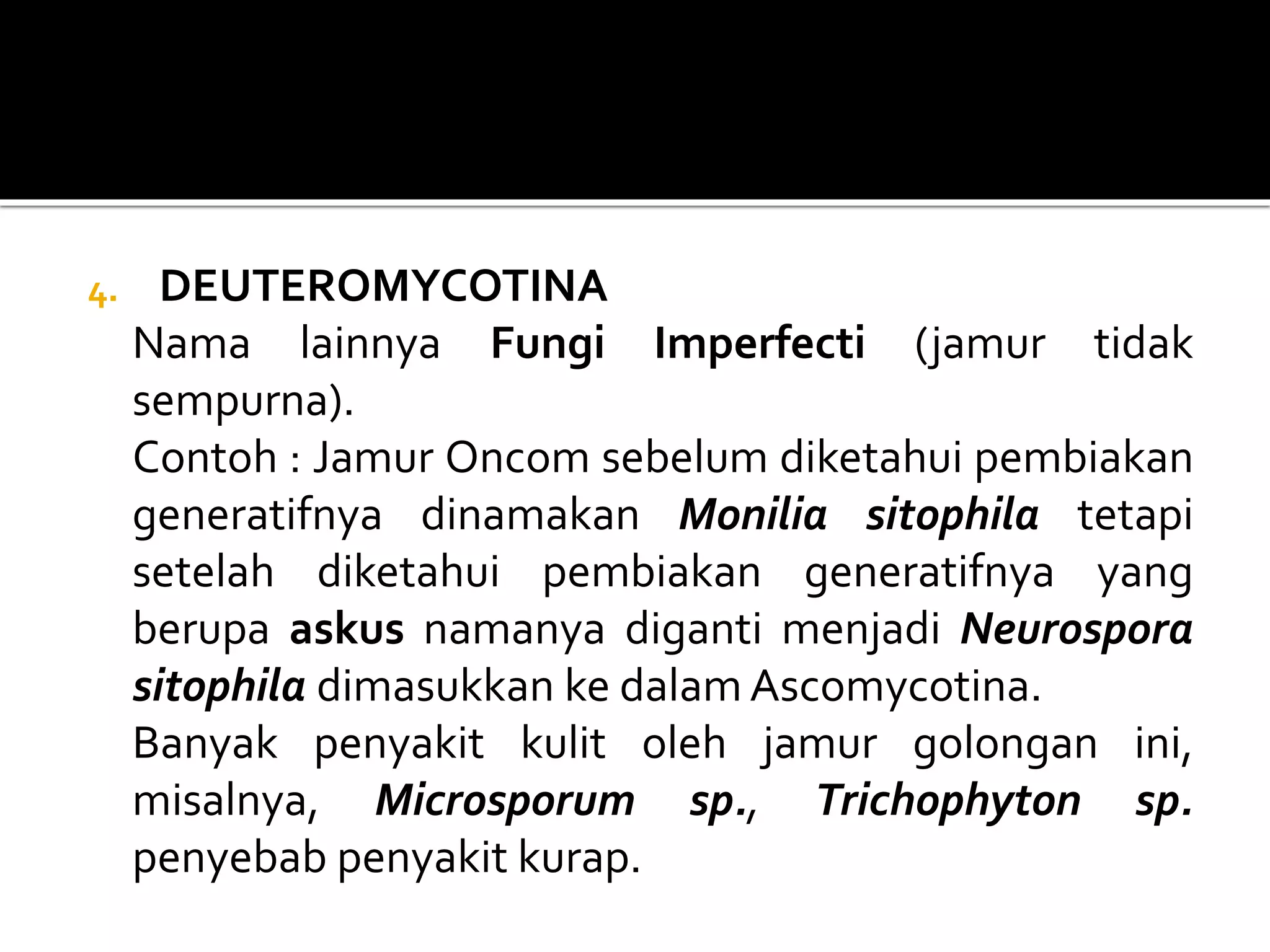 Presentasi Jamur (fungi) | PPTX