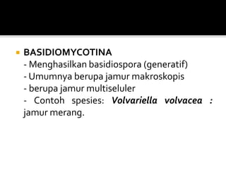 Presentasi Jamur (fungi) | PPTX