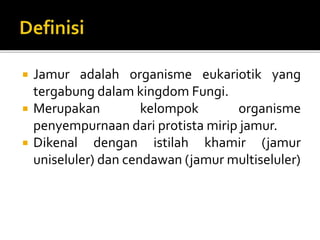 Presentasi Jamur (fungi) | PPTX