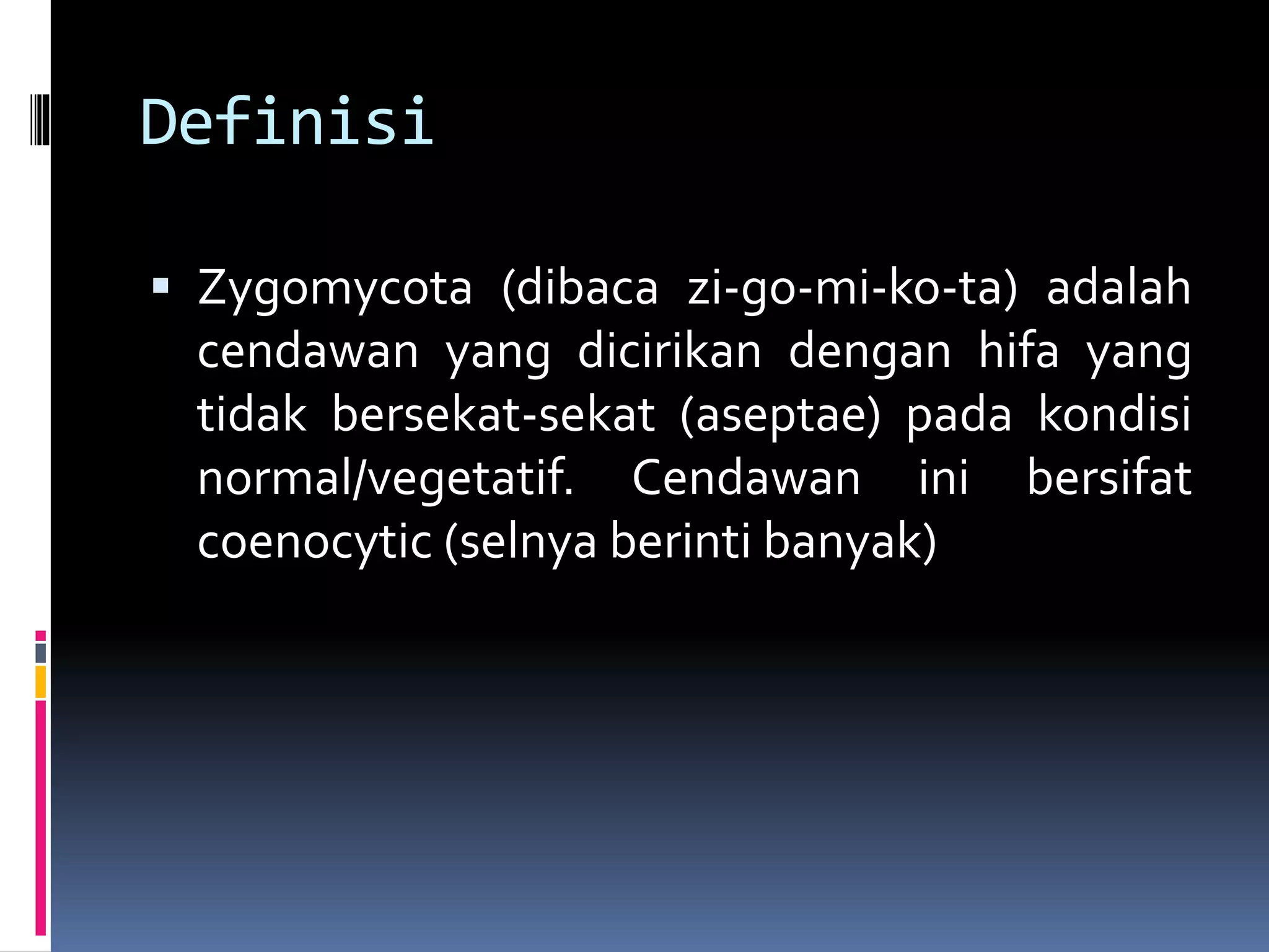 jamur_fungi_zygomycota.pptx