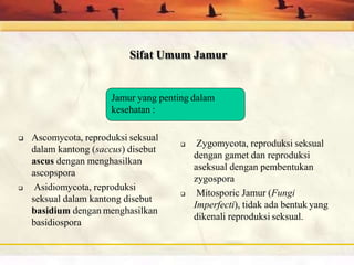 Ppt agen infeksius Jamur Ilmu Kep Dasar kes | PPTX