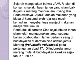 Jamur merang | PPTX