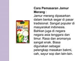 Jamur merang | PPTX