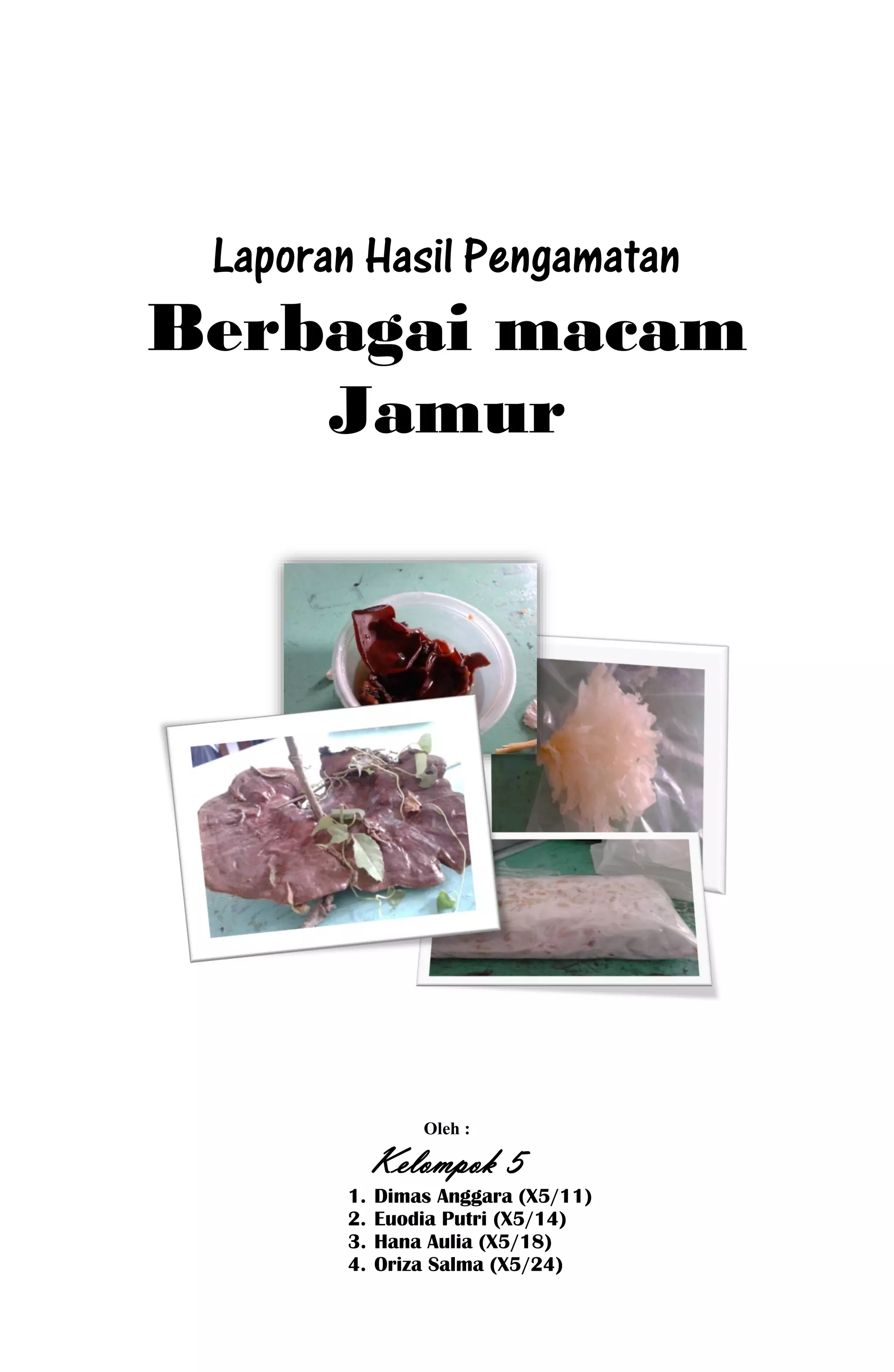 Hasil Pengamatan Jenis-Jenis Jamur | PDF Hasil Pengamatan Jenis-Jenis Jamur | PDF