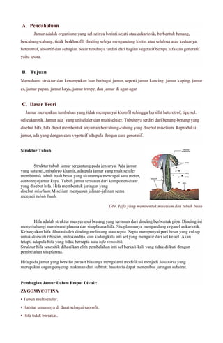 Hasil Pengamatan Jenis-Jenis Jamur | PDF