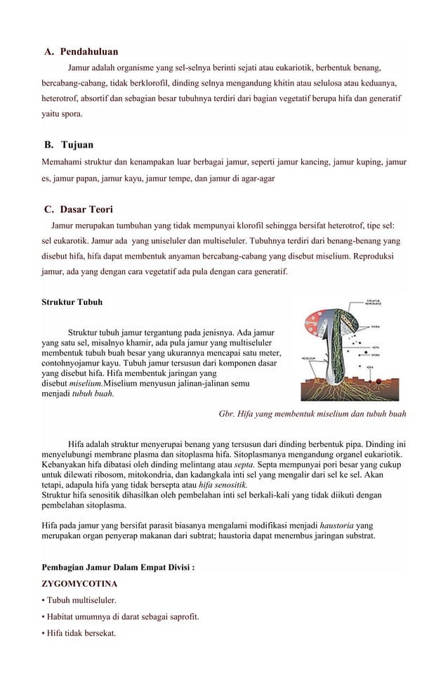 Hasil Pengamatan Jenis-Jenis Jamur | PDF