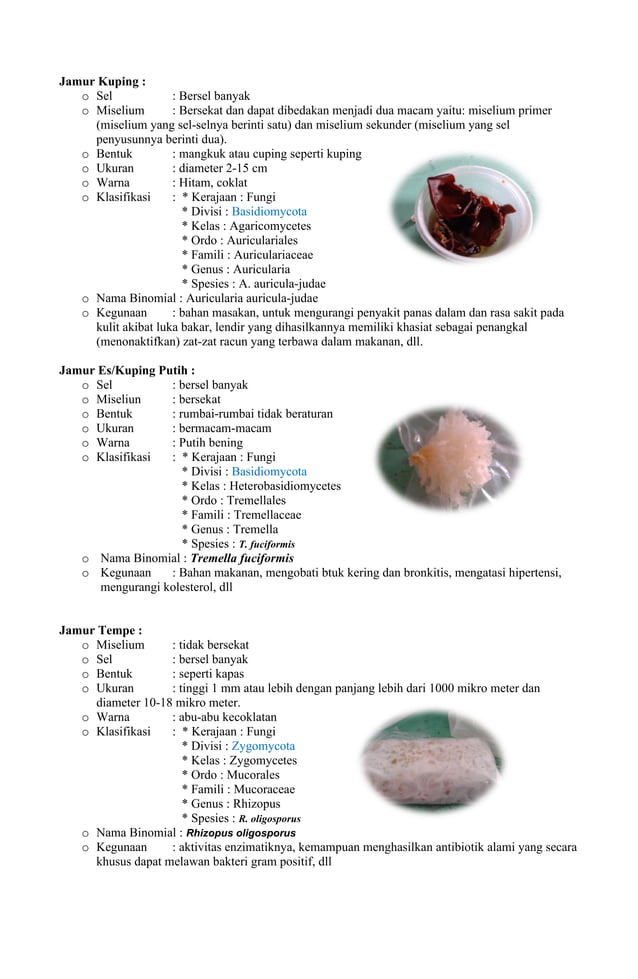Hasil Pengamatan Jenis-Jenis Jamur | PDF Hasil Pengamatan Jenis-Jenis Jamur | PDF