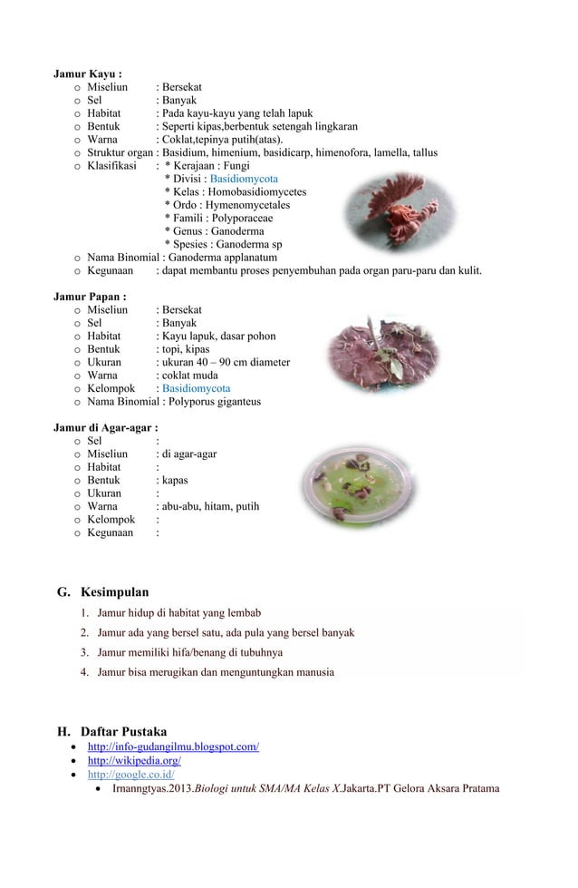 Hasil Pengamatan Jenis-Jenis Jamur | PDF Hasil Pengamatan Jenis-Jenis Jamur | PDF