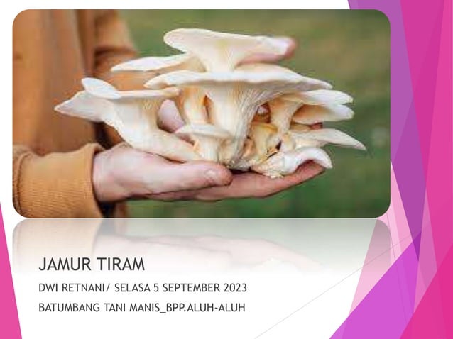 Potensi dan Cara Budidaya Jamur Tiram.pptx