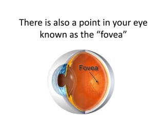 Diseases Of The Eye | PPTX