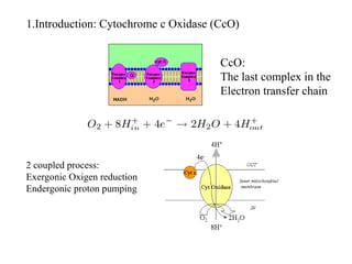 Cytochrome c Oxidase Jan06 | PPT