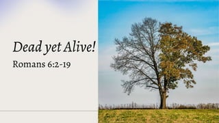 Grace Without Limit | PPT