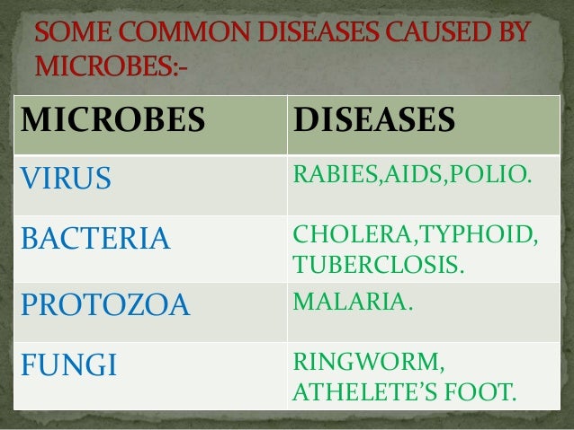 Diseases Explore Different Types Of Disease And Their Causes