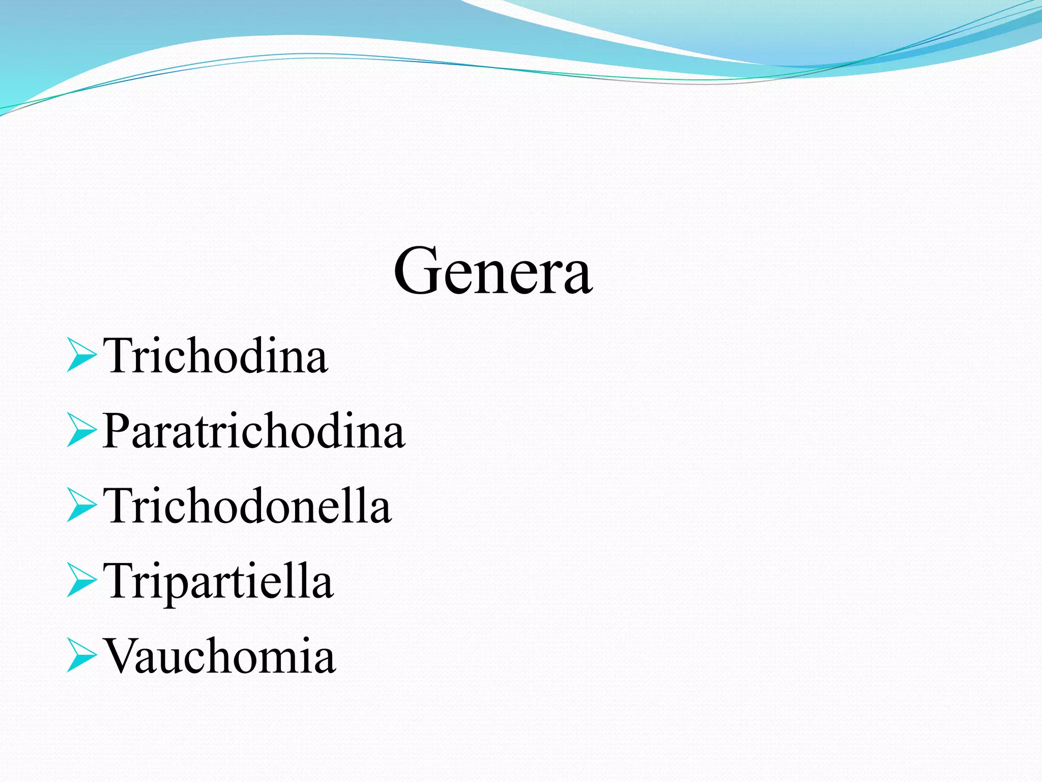 Trichodiniasis | PPTX