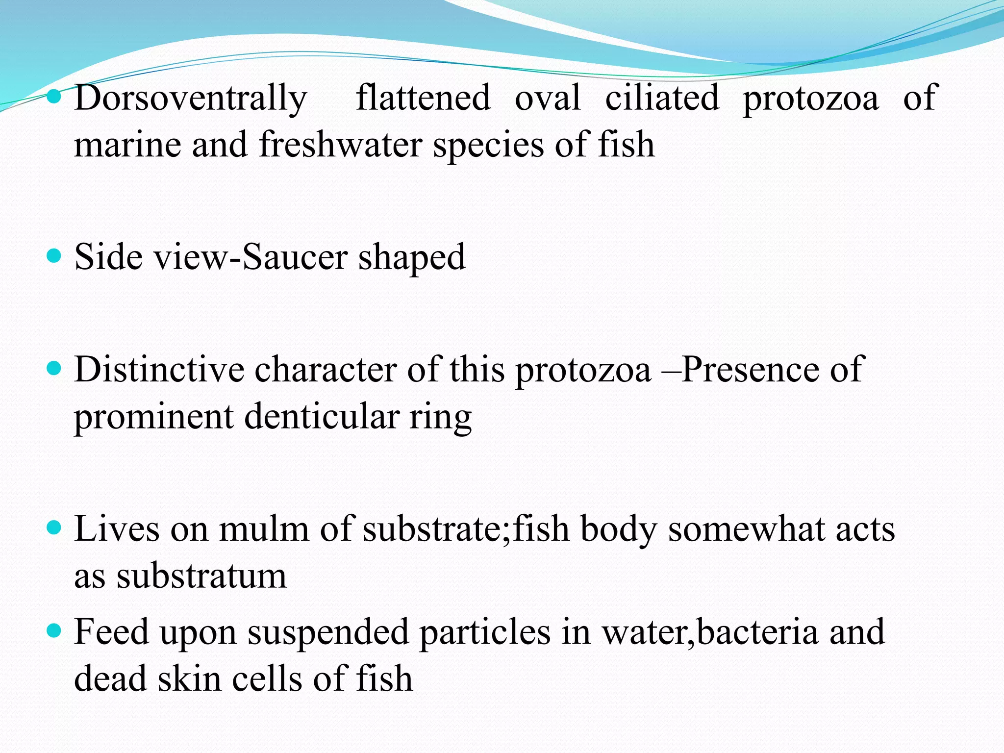 Trichodiniasis | PPTX