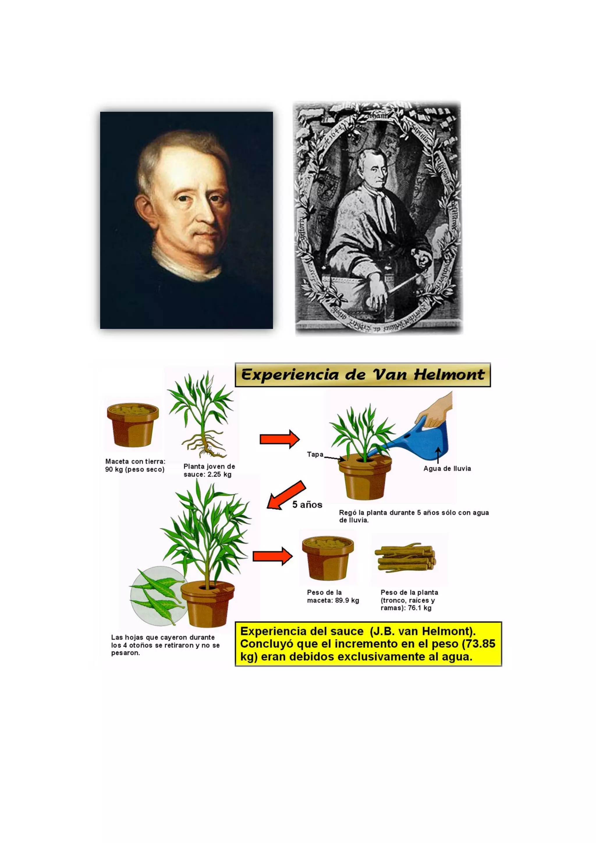 Jan Baptiste van Helmont por Aroa | PDF