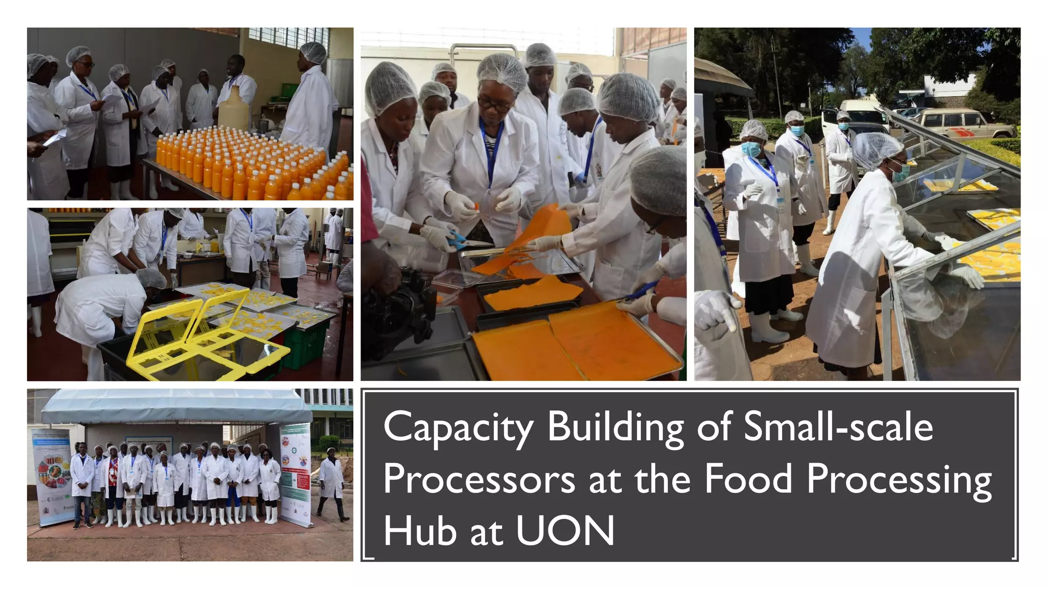 Small-scale processing of mango fruits: putting money in farmers ...