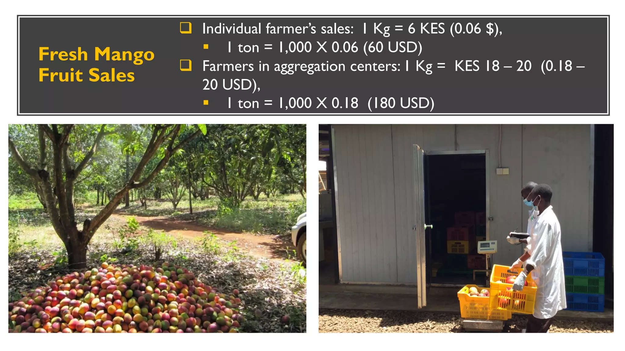 Small-scale processing of mango fruits: putting money in farmers ...