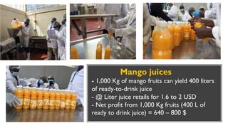 Small-scale processing of mango fruits: putting money in farmers ...